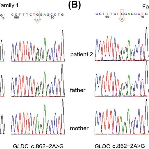 one missense variation and two splicing variations in two families a