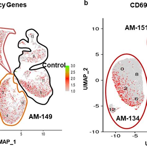 Transcriptional Heterogeneity Of Lsc Relative To Hsc And Leukemic
