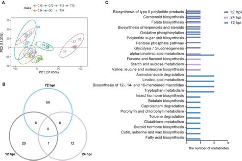 Analysis Of The Metabolomics Data A Principal Component Analysis