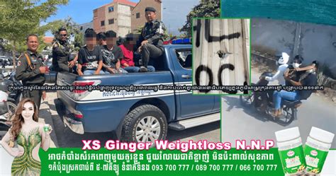 ក្រុម ក្មេ ងស្ទាវដែលតែងតែ គ ប់ ផ្ទះ វា យ