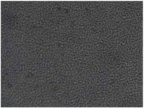 Method For Construction Of Polypyrrole Membrane With Hierarchical Morphology Based On In Situ