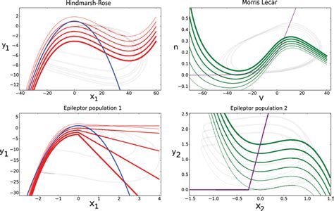 Comparison Of Phase Space Topologies Between Single Neuron Models And Download Scientific