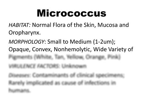 SOLUTION Staphylococcus Micrococcus And Similar Organisms Studypool