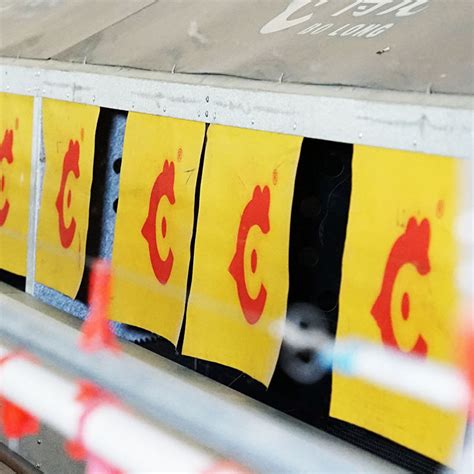 High Production Standards Automatic Egg Collection Tool Automatic Egg