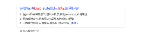 小tips：解决burp光标定位不准确burp鼠标和位置对不上 Csdn博客