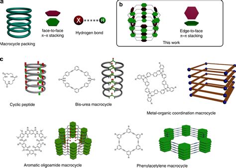 Different Packing Of Macrocycles A Illustration Of The Molecular Download Scientific Diagram