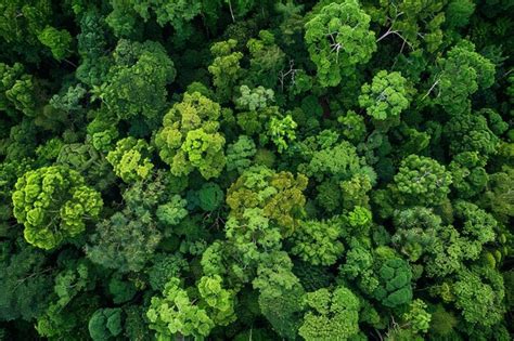 Deploying Remote Sensing Technology For Monitoring Generative Ai