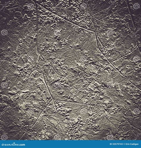 maple tree leaves rustic texture background stock image image of