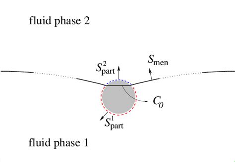 A General Configuration Of The Particle And The Fluid Interface The