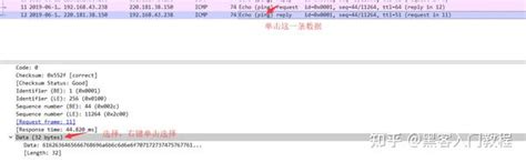 【2023最新版】超详细wireshark安装保姆级教程，wireshark抓包 网络分析 ，收藏这一篇就够了 知乎