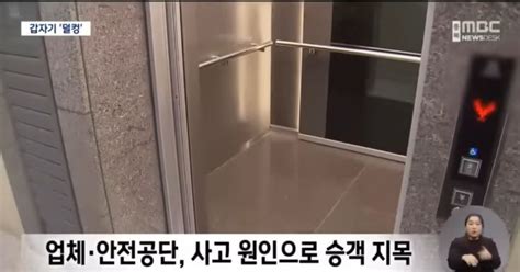 승객 때문이라는 아파트 엘리베이터 사고 인스티즈instiz 인티포털 카테고리