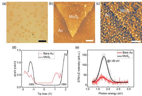 A Light Microscopy Image Of Typical Cvd Synthesized Monolayer Mos2