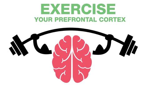 Exercise Your Prefrontal Cortex Julie Bergfeld Coaching