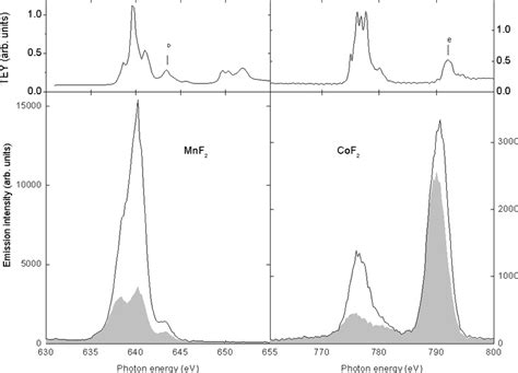 Self Absorption Correction For Mnf2 And Cof2 Top Tey Spectra With The Download Scientific