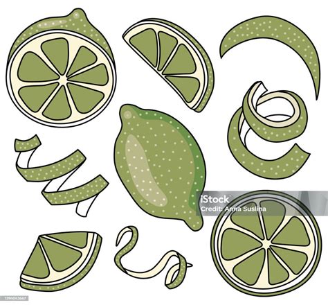 녹색 레몬 라임과 감귤류 과일 향긋한 트위스트의 컬렉션 세트 낙서 만화 스타일 벡터 일러스트 레이 션 메뉴 농민 시장 디자인