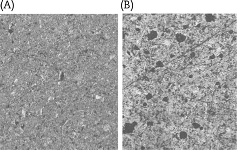 E Optical Microscopy Micrographs Of The Graphite Surface A Before Download Scientific