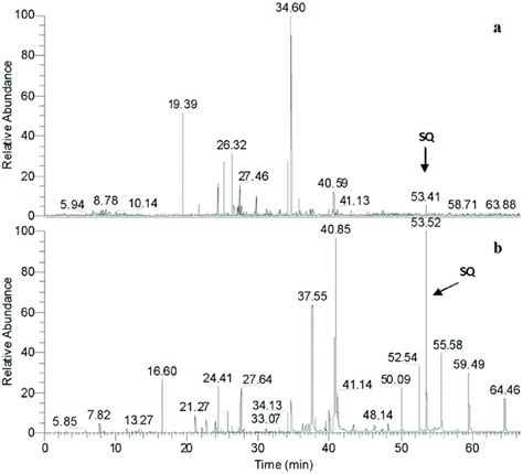 Hs Spme Gc Ms Tic Chromatograms Obtained From The Analysis Of The Download Scientific Diagram