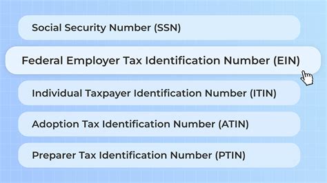 Shopify Tax ID Number: Do I Need an EIN & How to Get It | Mipler Blog