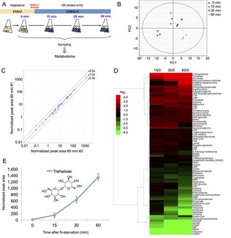 Metabolites Special Issue Microbial Metabolomics