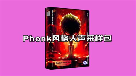 【推荐】phonk多风格人声采样包【全套完整包】 音乐人基地