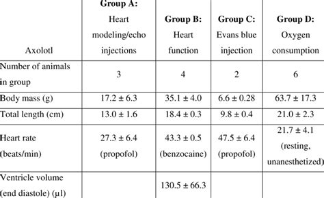Characteristics And Measured Physiological Parameters Of The Used Axolotls Download