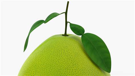 Green Pomelo Fruit 3d Model 19 3ds Blend C4d Fbx Max Ma Lxo Obj Free3d