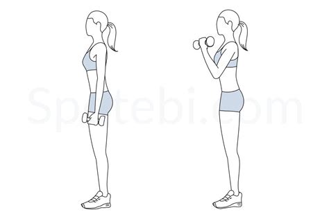 Bicep Curls Illustrated Exercise Guide Workout Guide Biceps Exercise