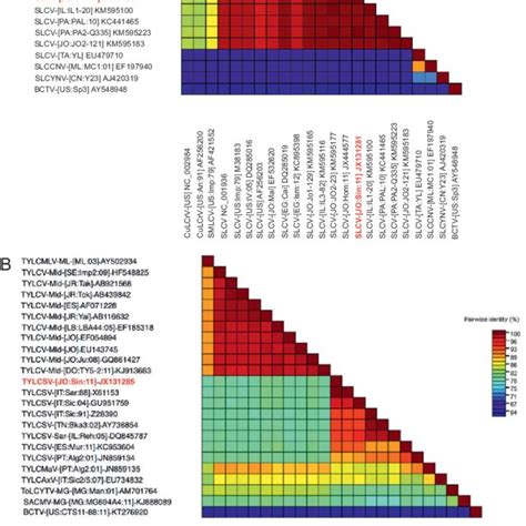 Colour Online Colour Coded Pairwise Identity Matrix Generated From Download Scientific