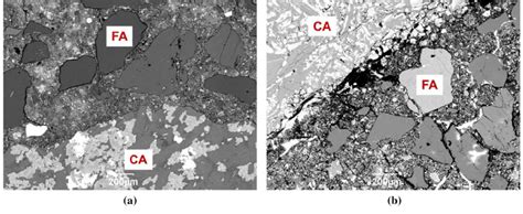 Comparison Between Itz Of Hsc 2 Specimens A Non Heated And B Exposed Download Scientific