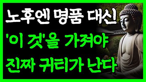 돈 한 푼 없이도 노후를 찬란하게 보내는 사람들의 공통점 I 노후에 유난히 귀티가 흐르는 사람 특징 I 자면서 듣는 부처님 명언 4시간 I 인간관계 I 오디오북 I 삶의