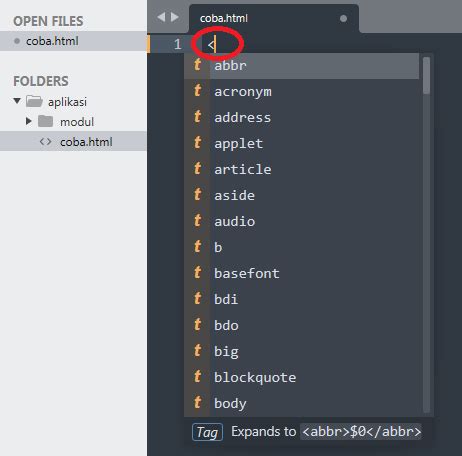 Cara Menggunakan Sublime Text Editor