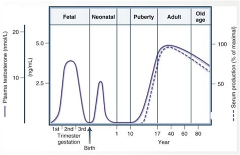 The Biology Of Sex Gender And Sexual Motivation Flashcards Quizlet