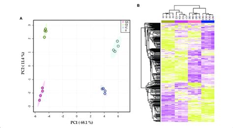 A Principal Component Analysis Pca Differentiated The Potato Leaf