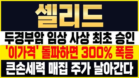 셀리드 셀리드주가 🔴10분전 충격속보 두경부암 임상 사상 최대 승인 이가격 돌파하면 주가 300폭등 시작합니다 셀리드셀리드주가 Youtube
