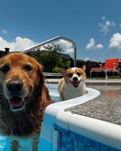 Sarah Grace Kimbrough Sarahkimbroughh • Instagram Photos And Videos