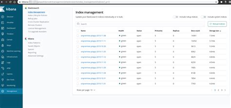 on premise setup kibana
