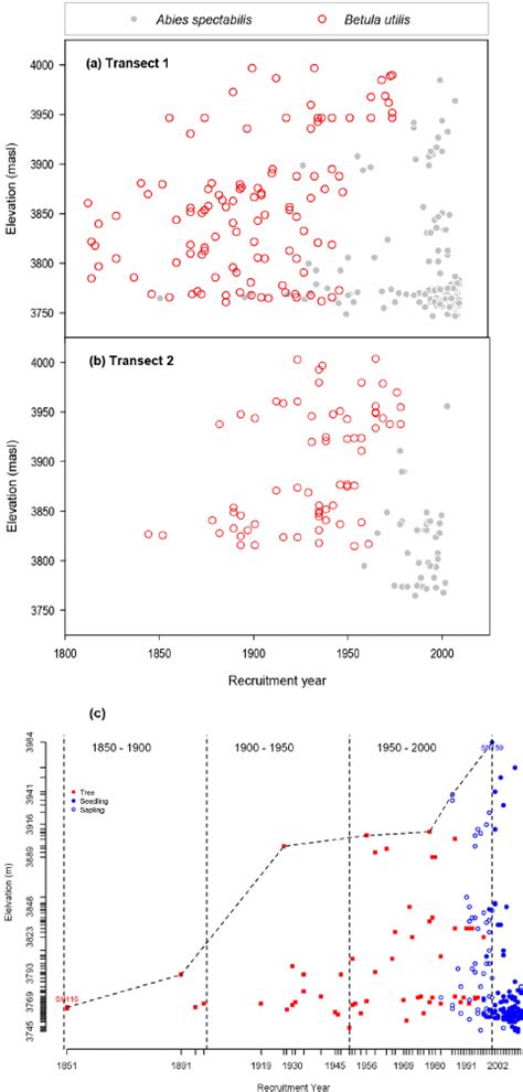A B Spatial And Temporal Variation In The Recruitment Of Tree Download Scientific Diagram
