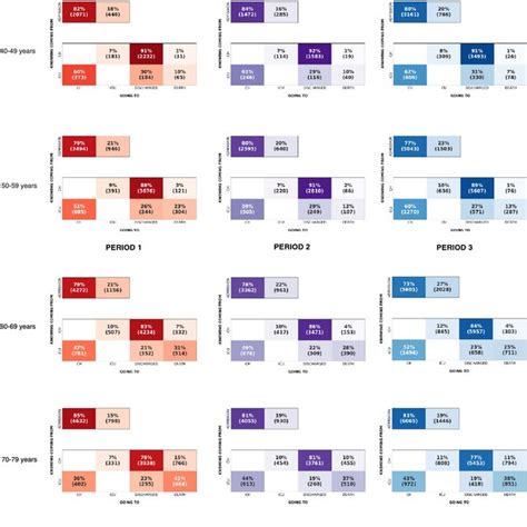 Transition Matrices For Each Period By Age Categories Download Scientific Diagram