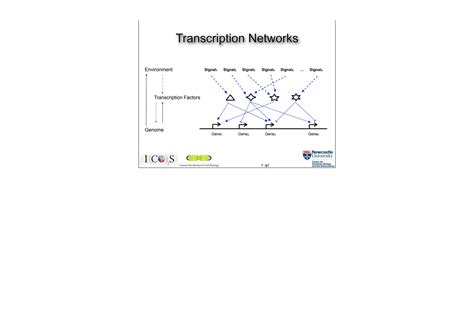 introduction to biocomputing pdf