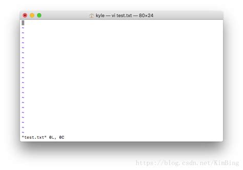 vim vi 编辑器快捷键大全【图解】，各种操作，指令大全 从无到有 linux mac terminal vim字体大小