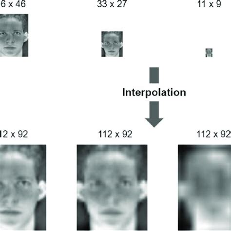 Same Image In Different Low Resolutions Top And Their Corresponding
