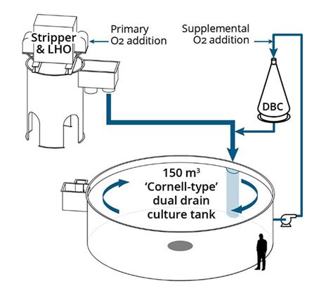 A Precision Oxygen Control System For Ras Freshwater Institute Rastech Magazinerastech Magazine