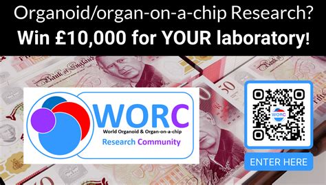 Win £10 000 For Your Organoid Chip Research Worc Community