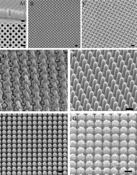 Microscopy Characterizations Of The 3d Nanocone Arrays At Different Download Scientific Diagram