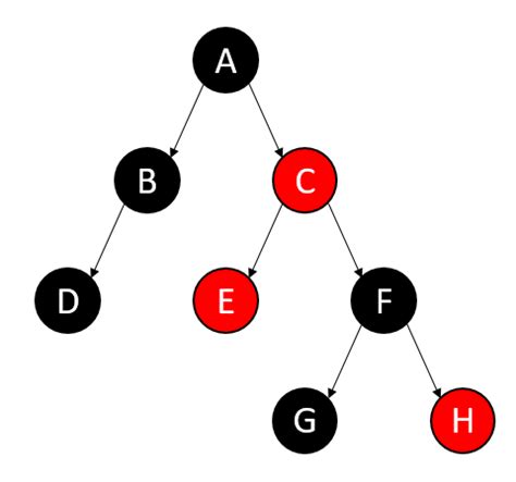 Graph Show All Paths Of A Tree In SPARQL Stack Overflow