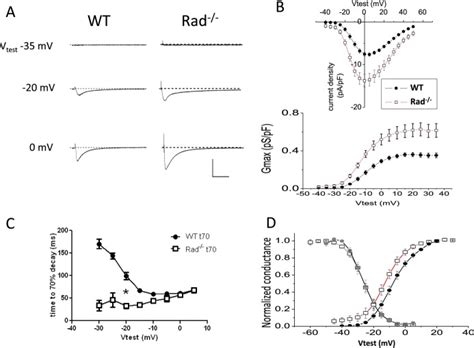 rad− − ica l activation is negative‐shifted revealing increased