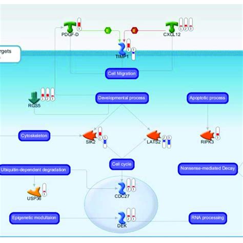 The Figure Shows Symbols Objects And Interactions Between Objects Download Scientific