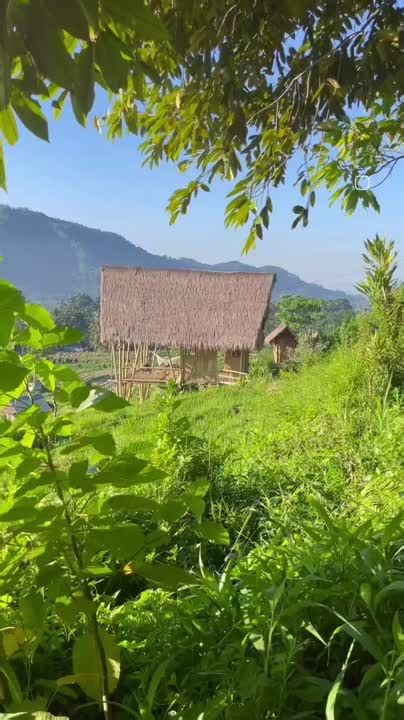 [video] Gede Antara Posted On Linkedin