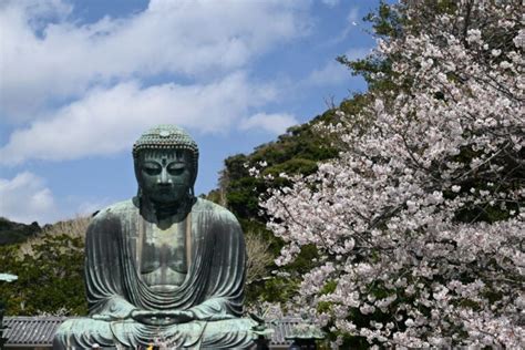 Best Shrines And Temples In Tokyo