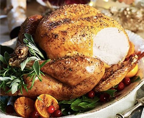 Stierschneider Aktuell